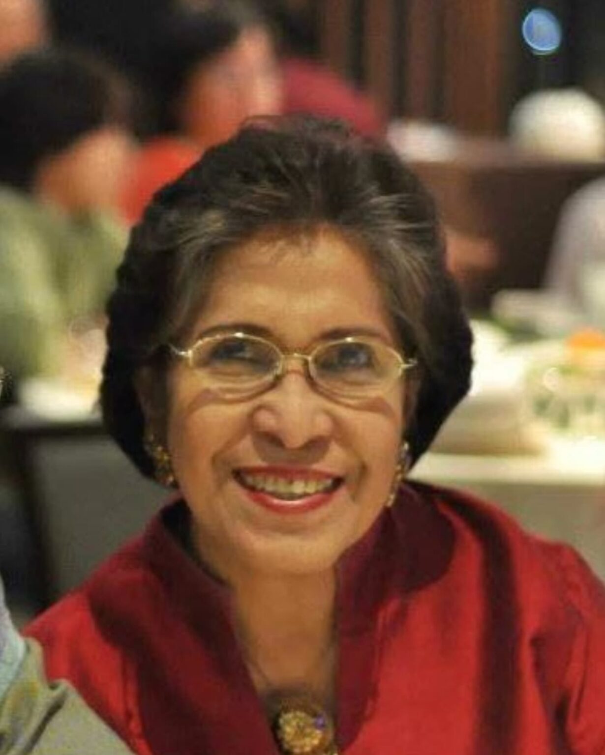“Mighty” Meity Robot – RI Tourism Leader Dies at 87 | Bali Discovery